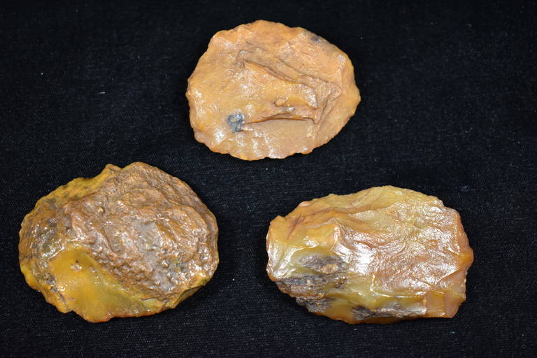 Lot Of 3 Turtleback Scrapers, Fl ,native American