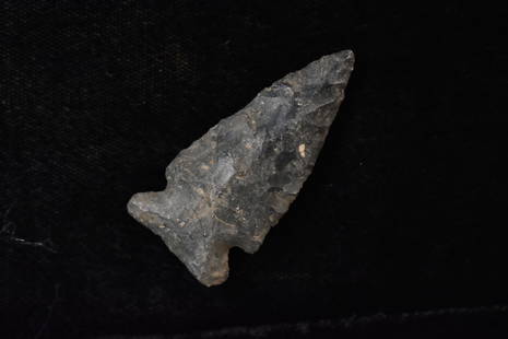 1 3/4" Archaic Side Notch, Kentucky, Native American
