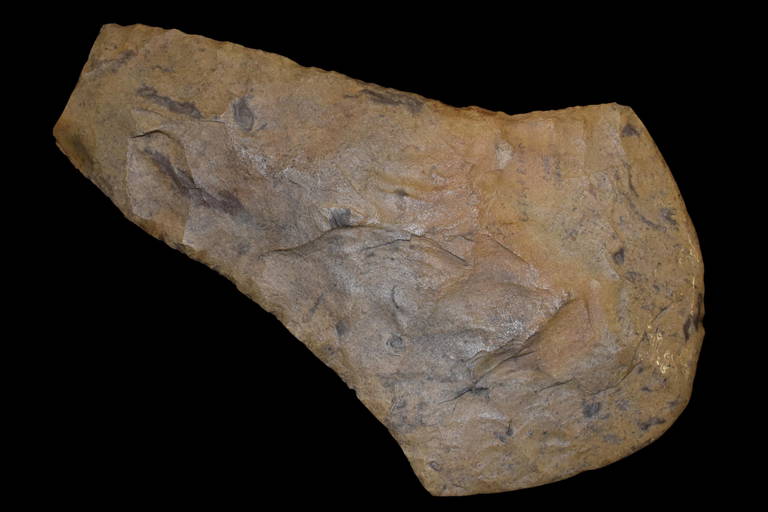 11" x 6 3/4" Flared bit Spade. EX Floyd Ritter. Native - Apr 25, 2021 ...