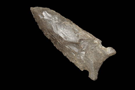 1 1/2" Graham Cave Point, Native American Artifacts