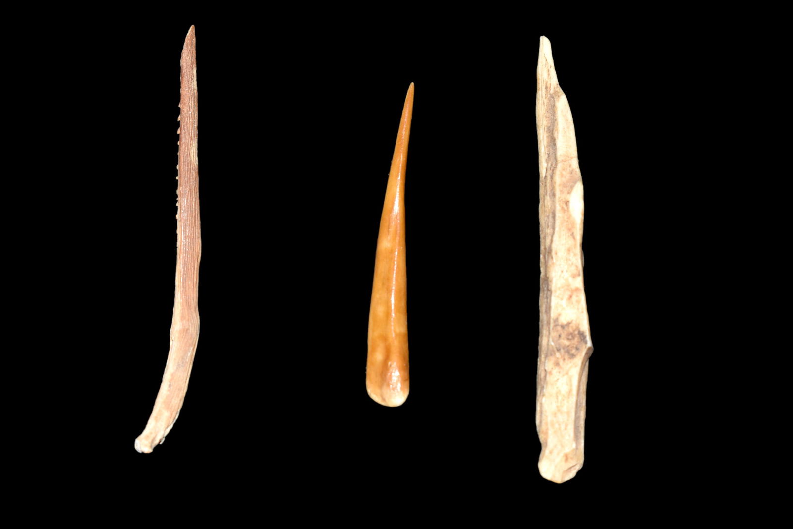 For Auction: Lot of 3 Bone Awls (#0219) on May 27, 2021 | Heartland ...