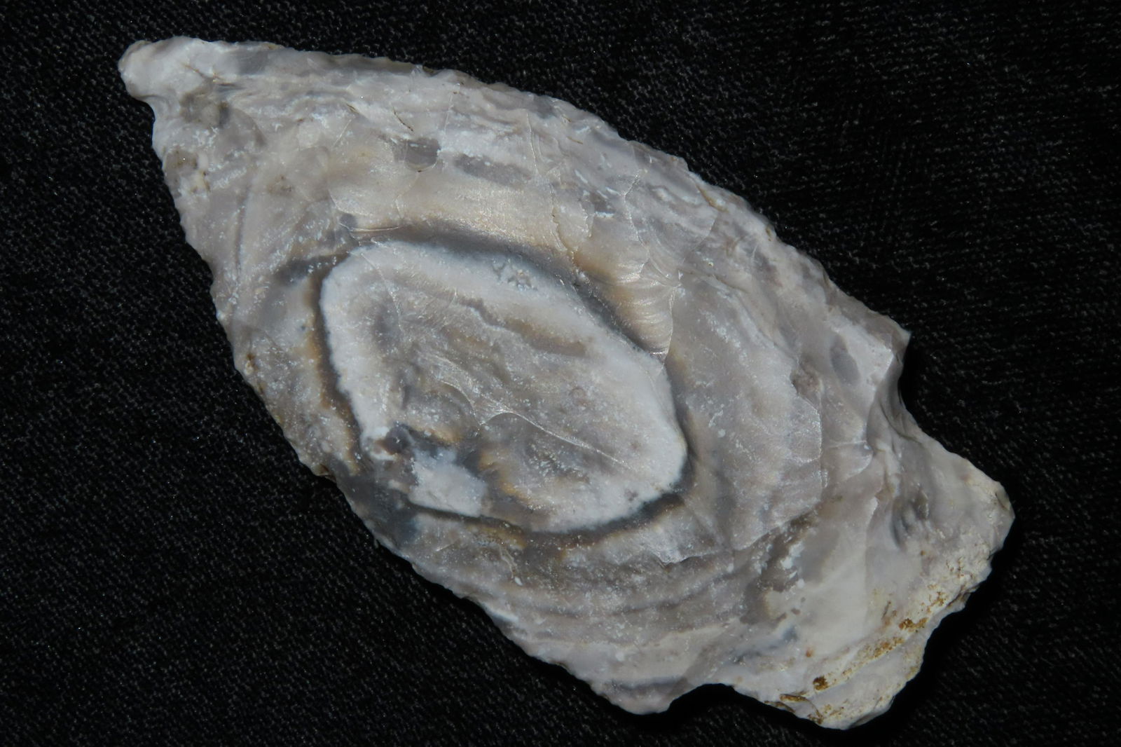 3 1/8" Etley. From The James And Joe George