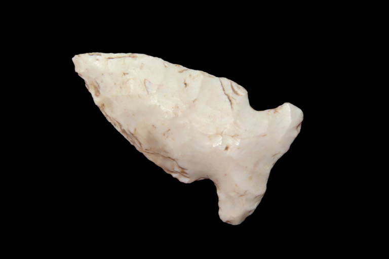 1 1/8" Bird Point Ex Steve Manos Collection