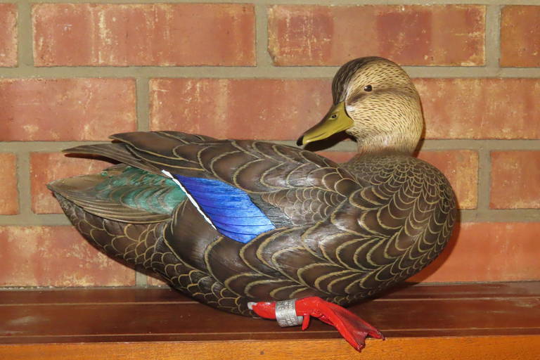 DUCKS UNLIMITED VERY WELL MADE BLACK DUCK DECOY SCULPTURE - Jun 26 ...