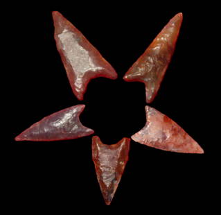 20 Prehistoric Neolithic Points From The Sahara Desert Arrowheads
