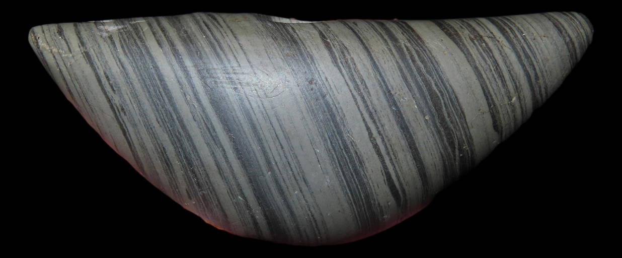 3 1/4" X 1 1/4" Pick Bannerstone. 3x Coa Bennett, Davis And Motley. Ex ...