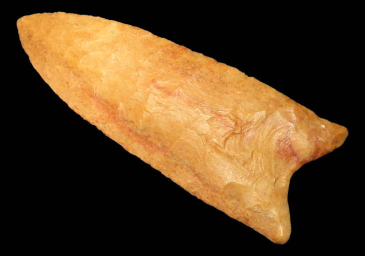 2 15/16" X 1" Dalton. Motley, Coa. Found In Adams Co., Il Payson Chert