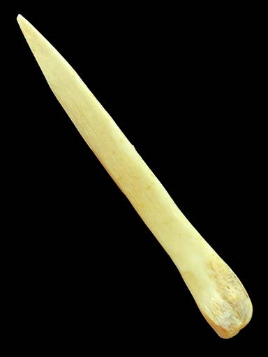 3 7/8" Bone Awl From A Mandan Site In South Dakota