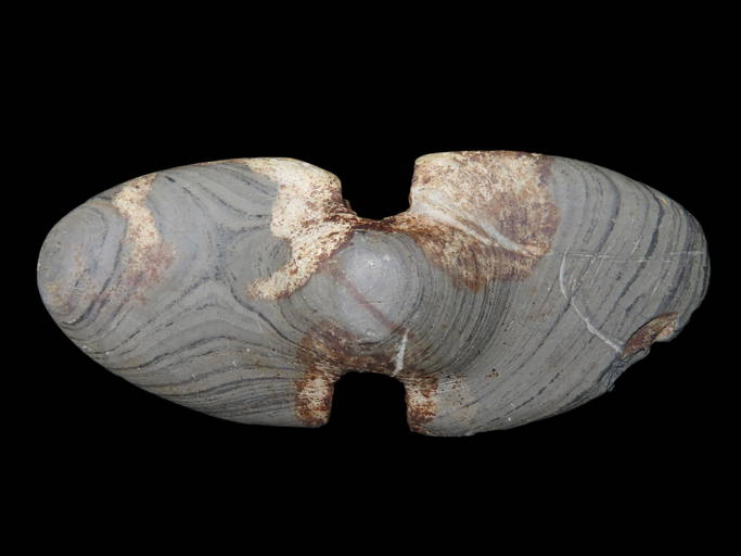 4 7/8" Slate Double Notch Butterfly Bannerstone, Dickey COA, found in ...