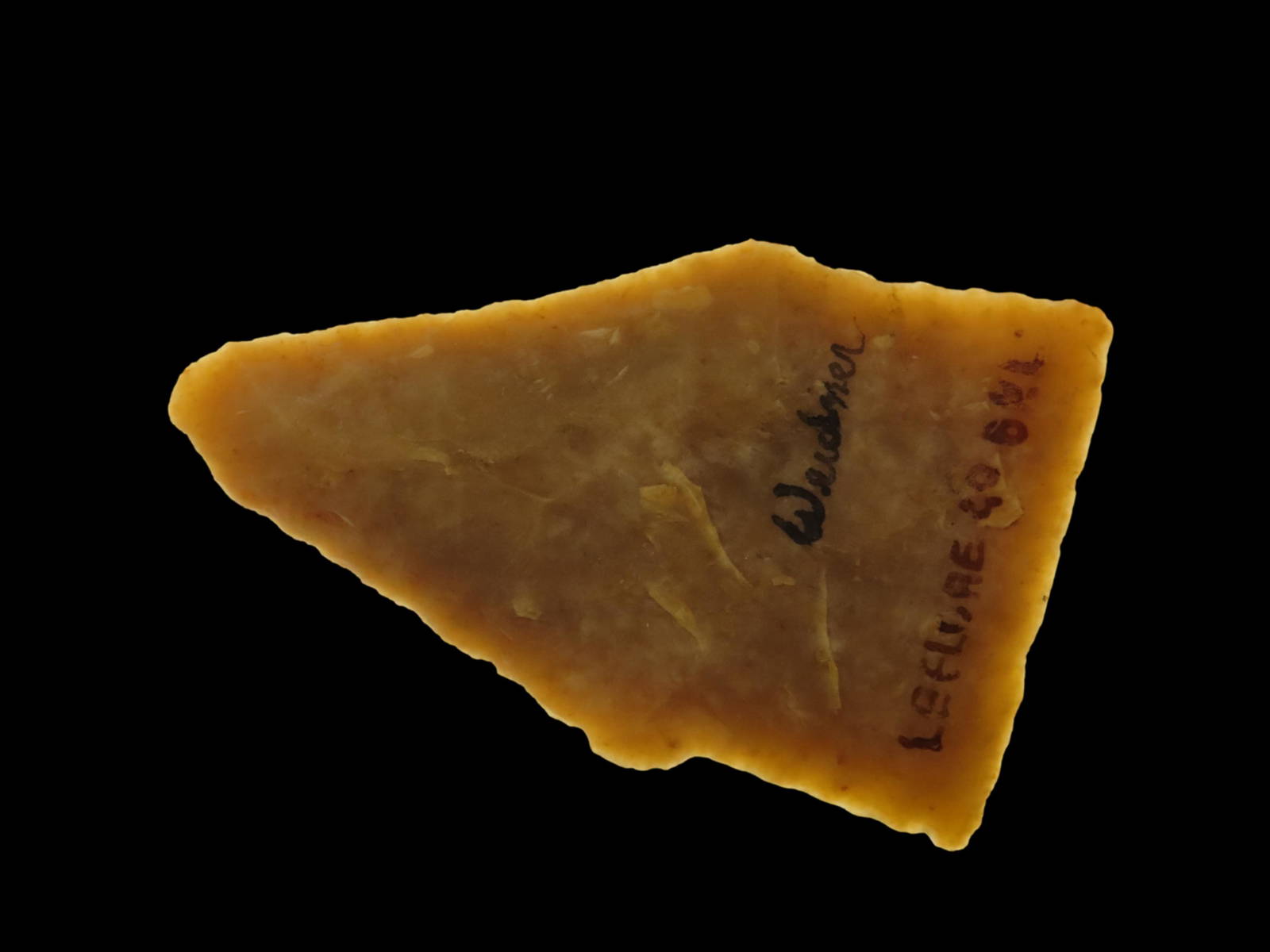 2.1/16" Scottsbluff, Motley Coa, Cody Complex, Le Flore Co Ok, Ex Herb ...