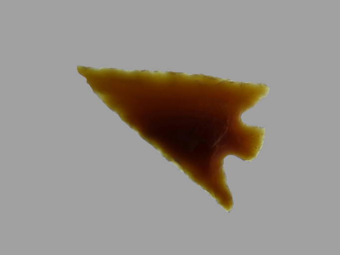 1" Columbia Plateau, Found In The Western United States, Ex Brian Wrage ...