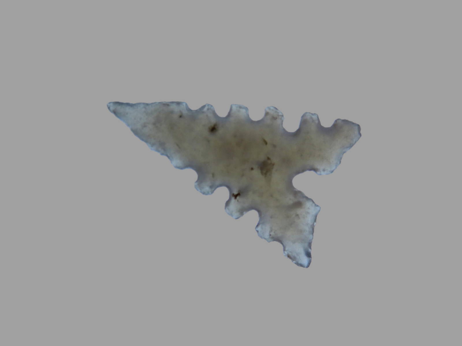 3/4" Huffaker, Found In The Western United States, Ex Brian Wrage ...