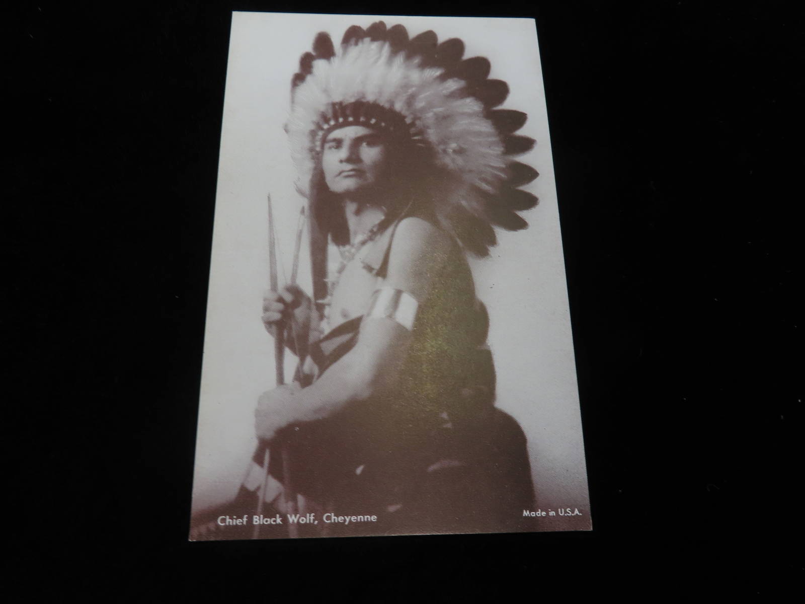 Native American Post Card Early Native American Picture 5 1/4"x3 1/4 ...