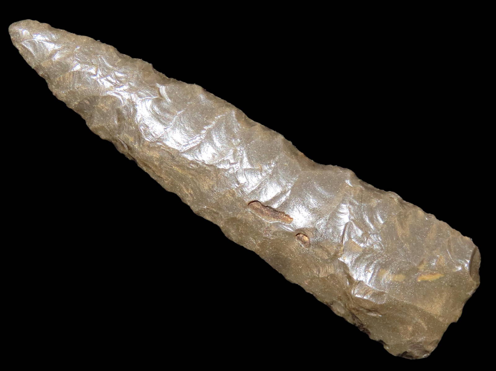 2.9/16" Eden Cody Complex Point, Rogers Coa, Found By Larry Wilson ...