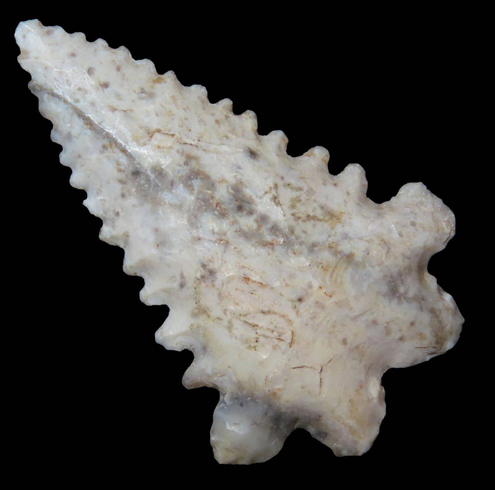 1.5/8" Fox Valley Ex Brian Wrage Collection For Past 30 Years, Illinois ...