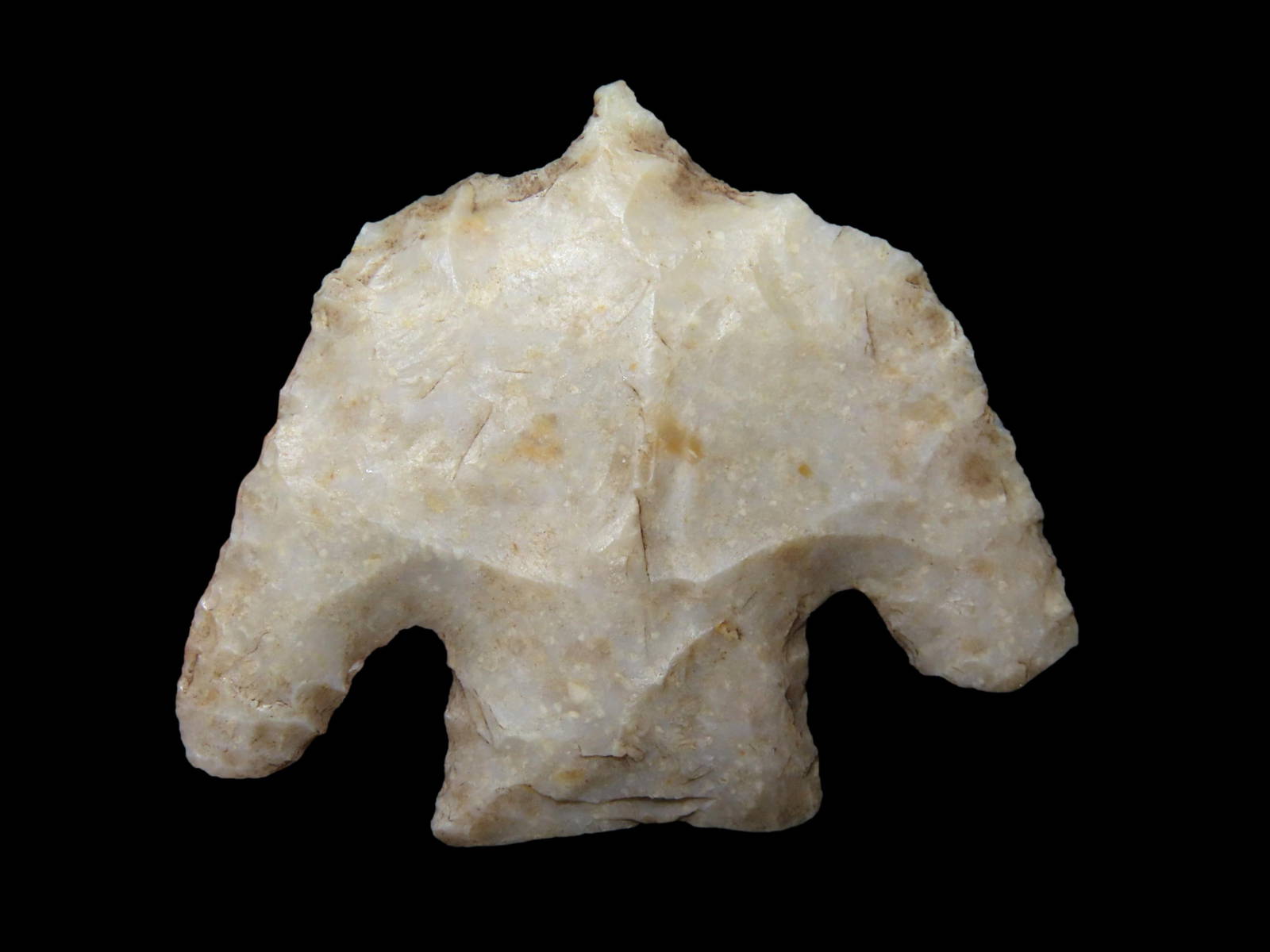 1.3/8" Texas Conejo Point, Partain Coa, Sutton Co Tx Auction