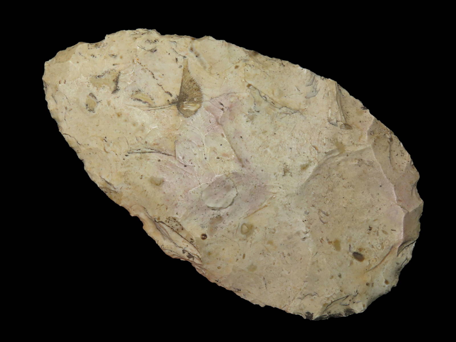 Huge 5.3/4" Bi-face Preform. This Collection Was The Property Of The ...