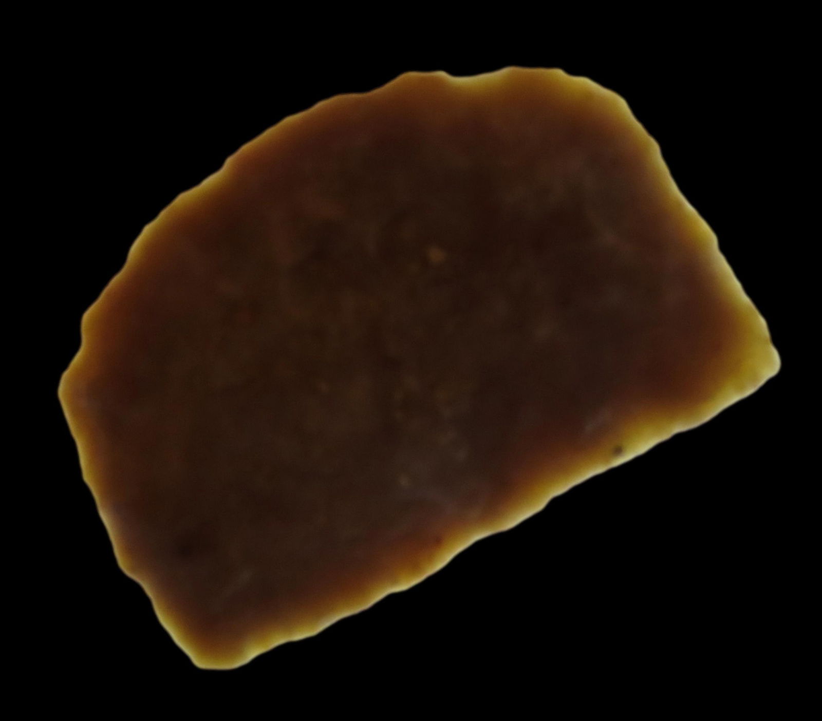 Rare Texas Paleo Crescent, 1 1/8", Found In Coryell County Texas, Nice ...