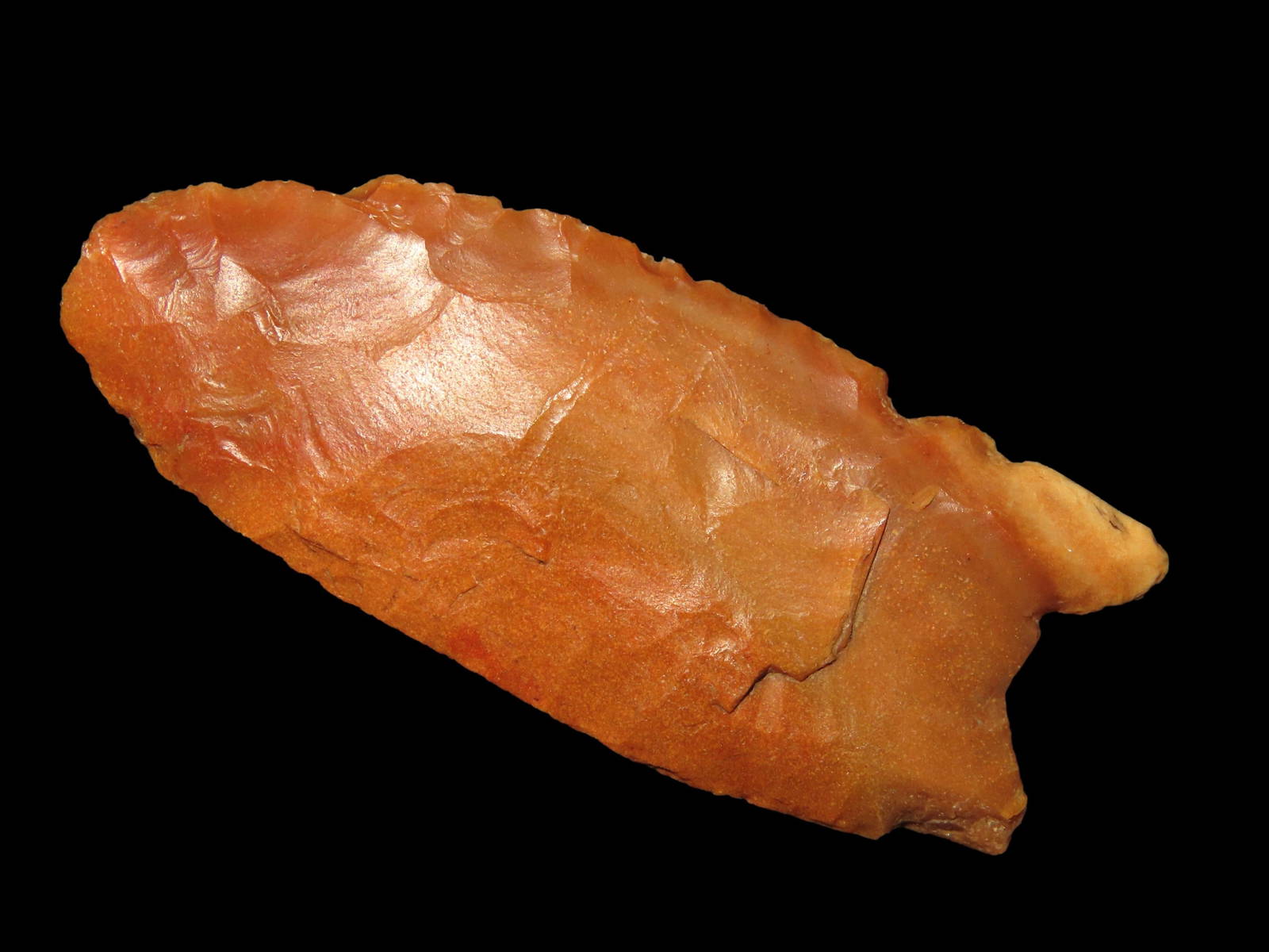 2 3/4" Clovis, Dickey Coa, Found In Marion Co Kentucky, Carter Cave ...