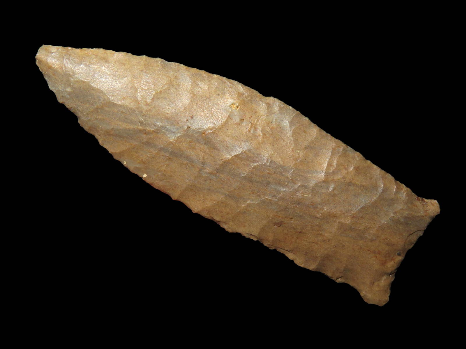 2 13/16" Beaver Lake, Dickey Coa, Found In Madison Co., Alabama, Ex ...