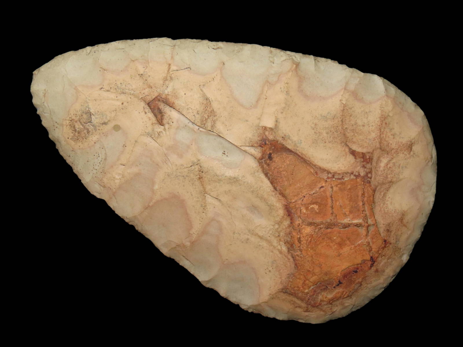 4.3/8" Tabuler Chert North Blade, Dickey Coa, Se Iowa, Ex Jake Vahle ...