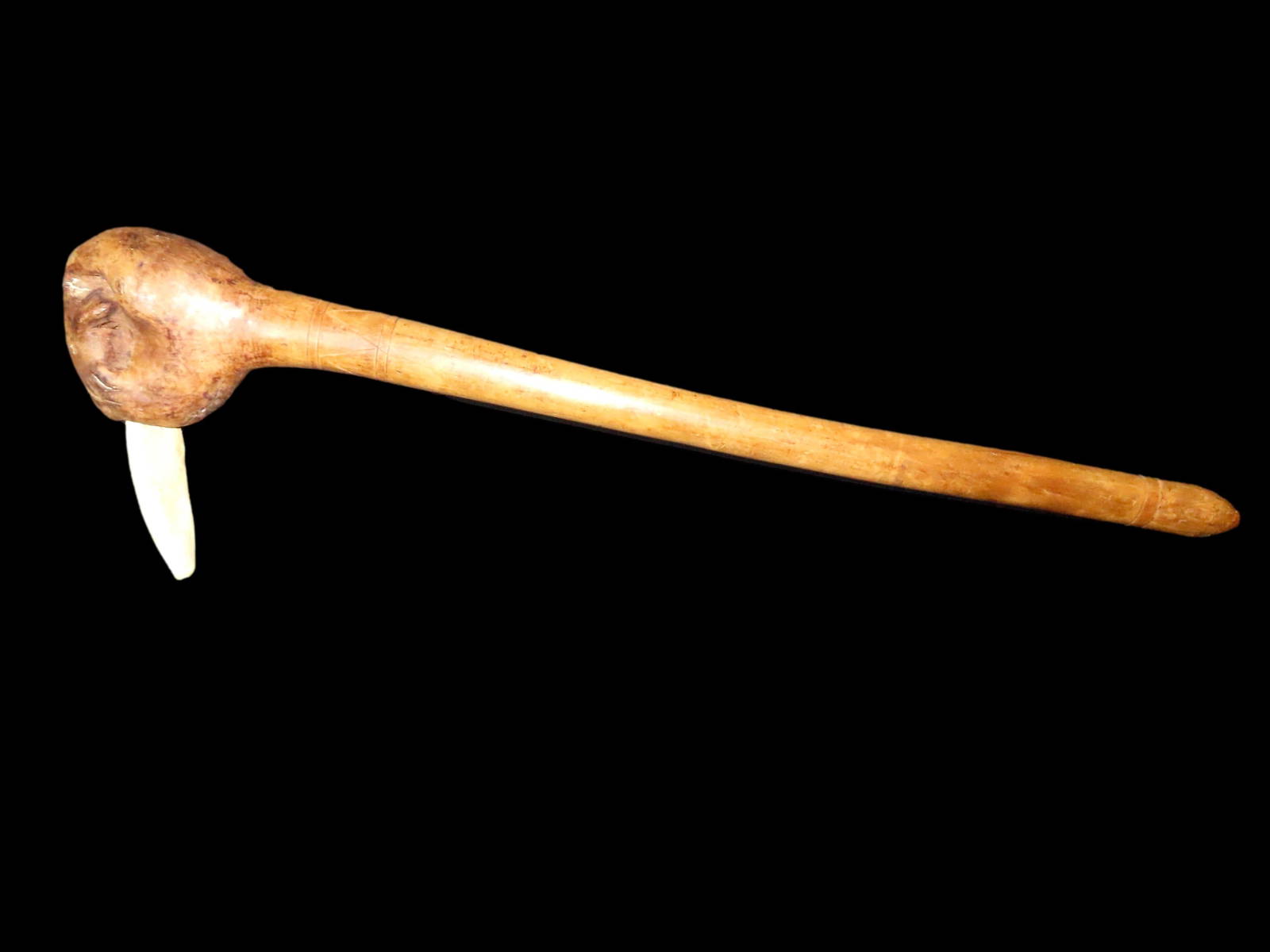 30" Penobscot Root War Club, Sharpened Bone/antler Embedded In Root End ...