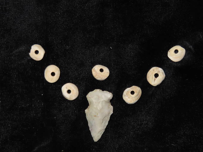 Set Of 7 Shell Beads And 1 Arrowhead, Found In Arizona
