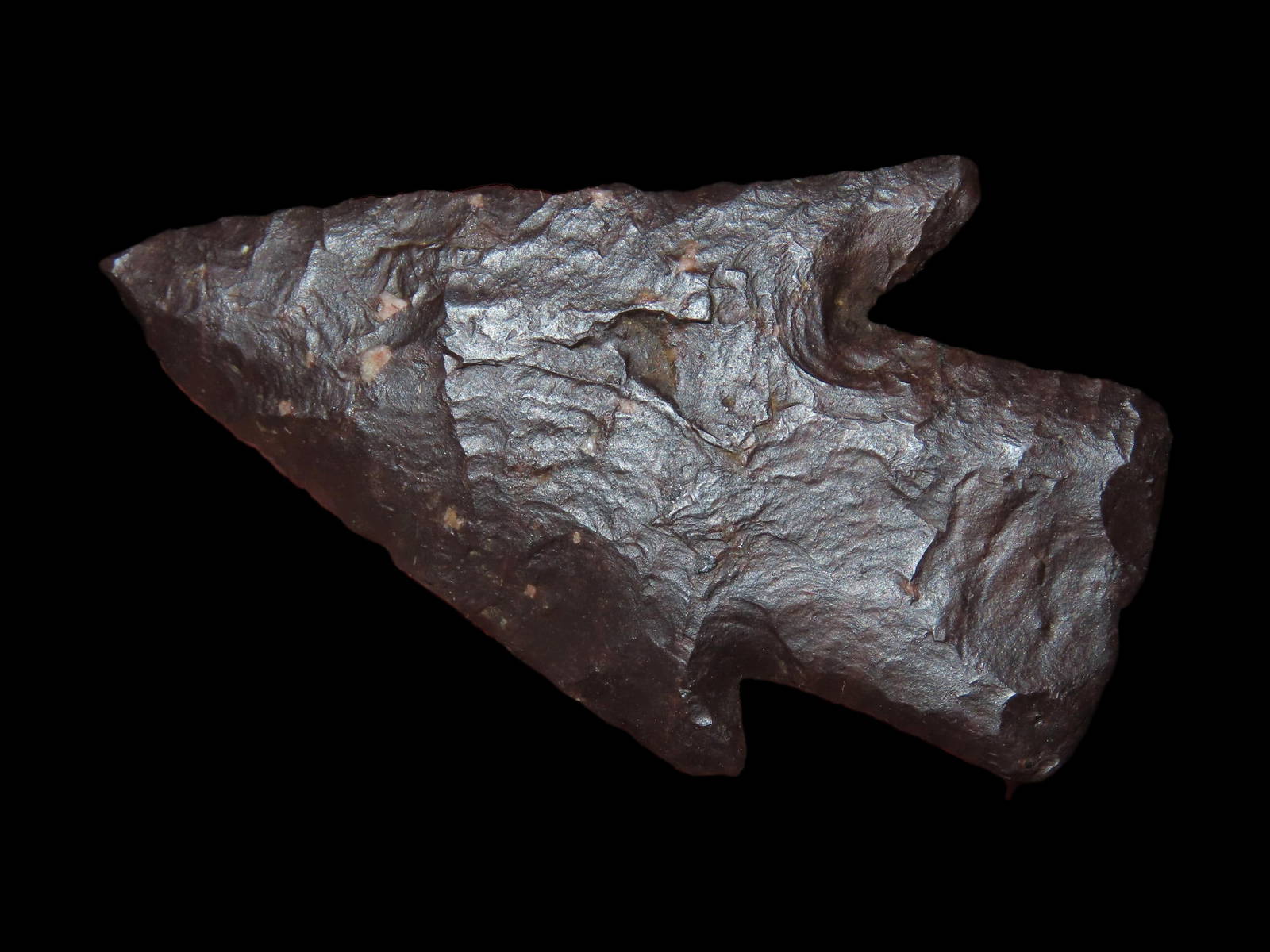 2 9/16" Pitkin Chert Hardin, Motley Coa, Clay Co. Ark, Ex George ...