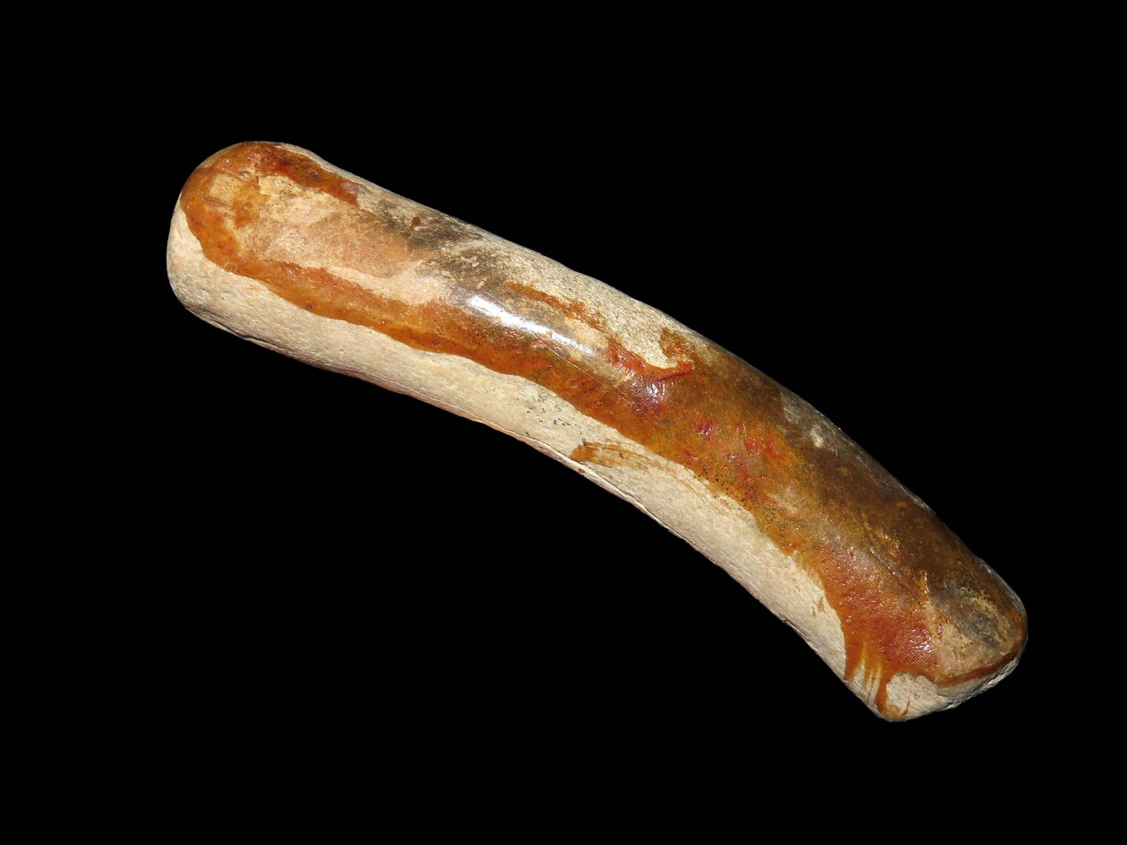 1 7/8" Antler Billet Knapping Tool, Found In Illinois, Ex Donny Johns ...