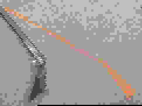 Kentucky Long Rifle, 57 1/2" Overal, 41 3/4" Long Barrel, Nice Example ...