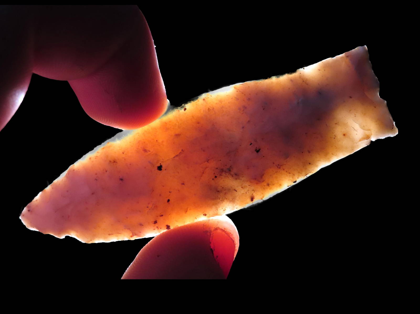 2 13/16" Plainview, Motley Coa, Found In Southeast Iowa Auction