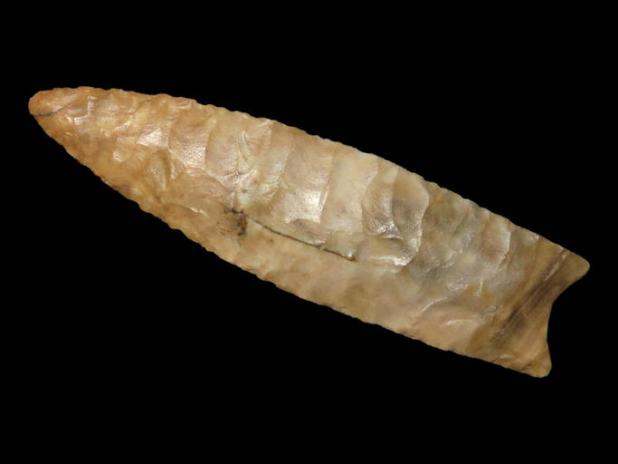 3 1/2" Paleo Plainview, Cedar Co. Nebraska, Motley Coa, Incredible ...