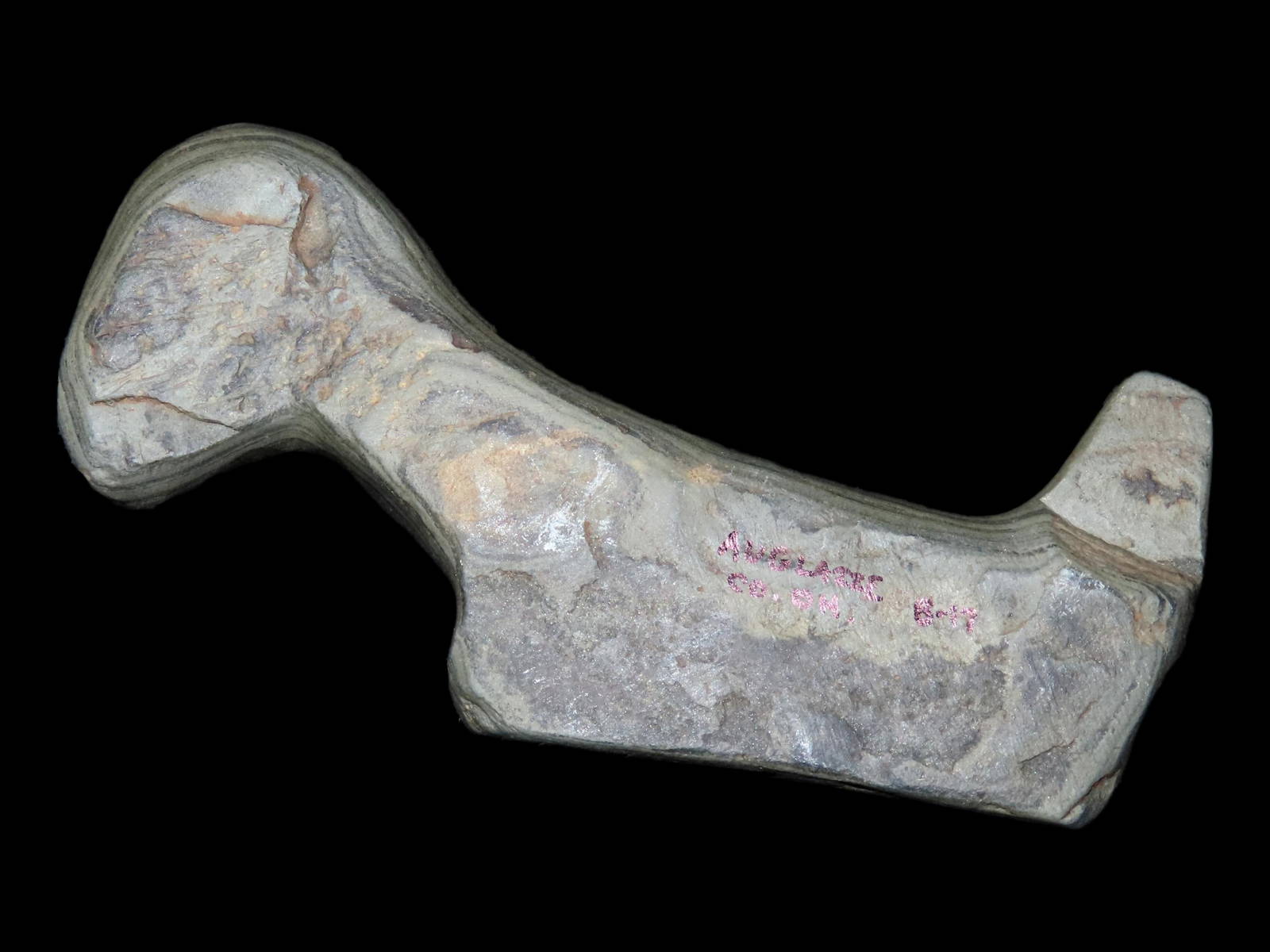 4 1/8" Banded Slate Birdstone, Auglaize Co. Ohio, Motley Coa, Nice Form ...