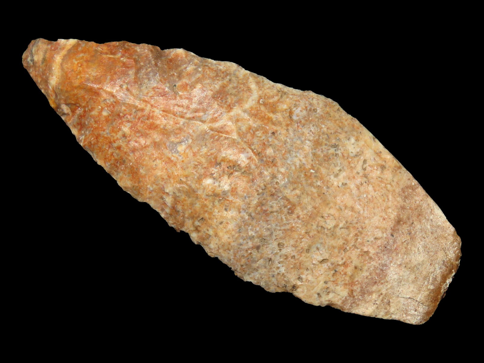 FINE NATIVE AMERICAN ARTIFACT AUCTION starts on 2/23/2025