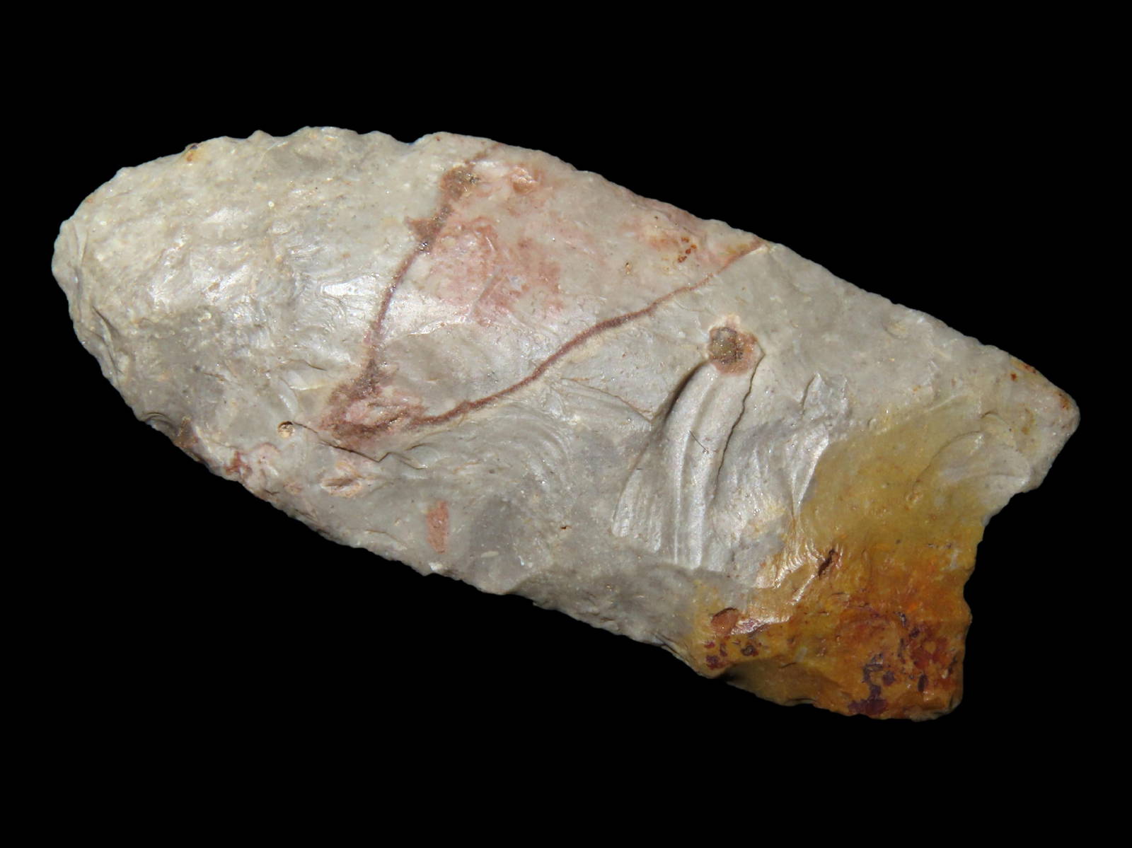 2" Clovis, Dickey Coa, Found In Central Kentucky/tennessee Auction