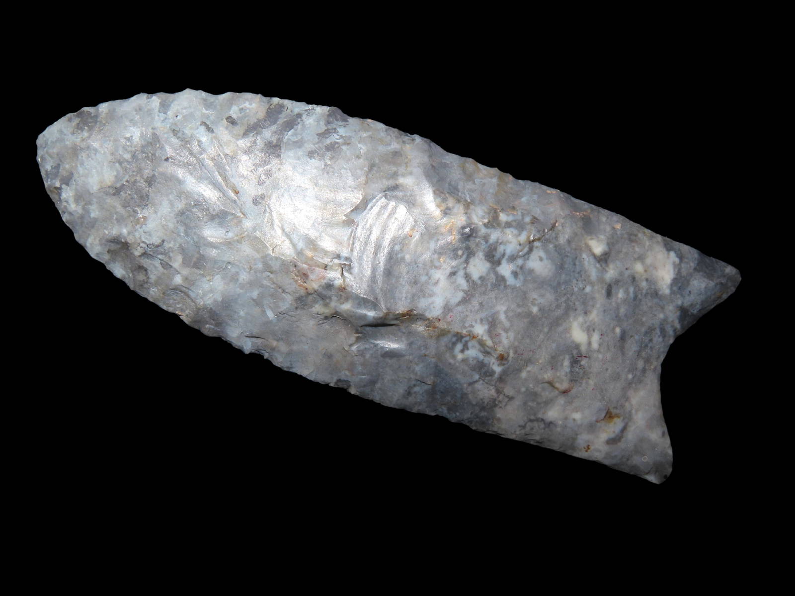 3 1/2" Coshocton Gainey Clovis, Dickey Coa, Found In Ross Co., Ohio, Restored, Ex. Walt Mcintire ...