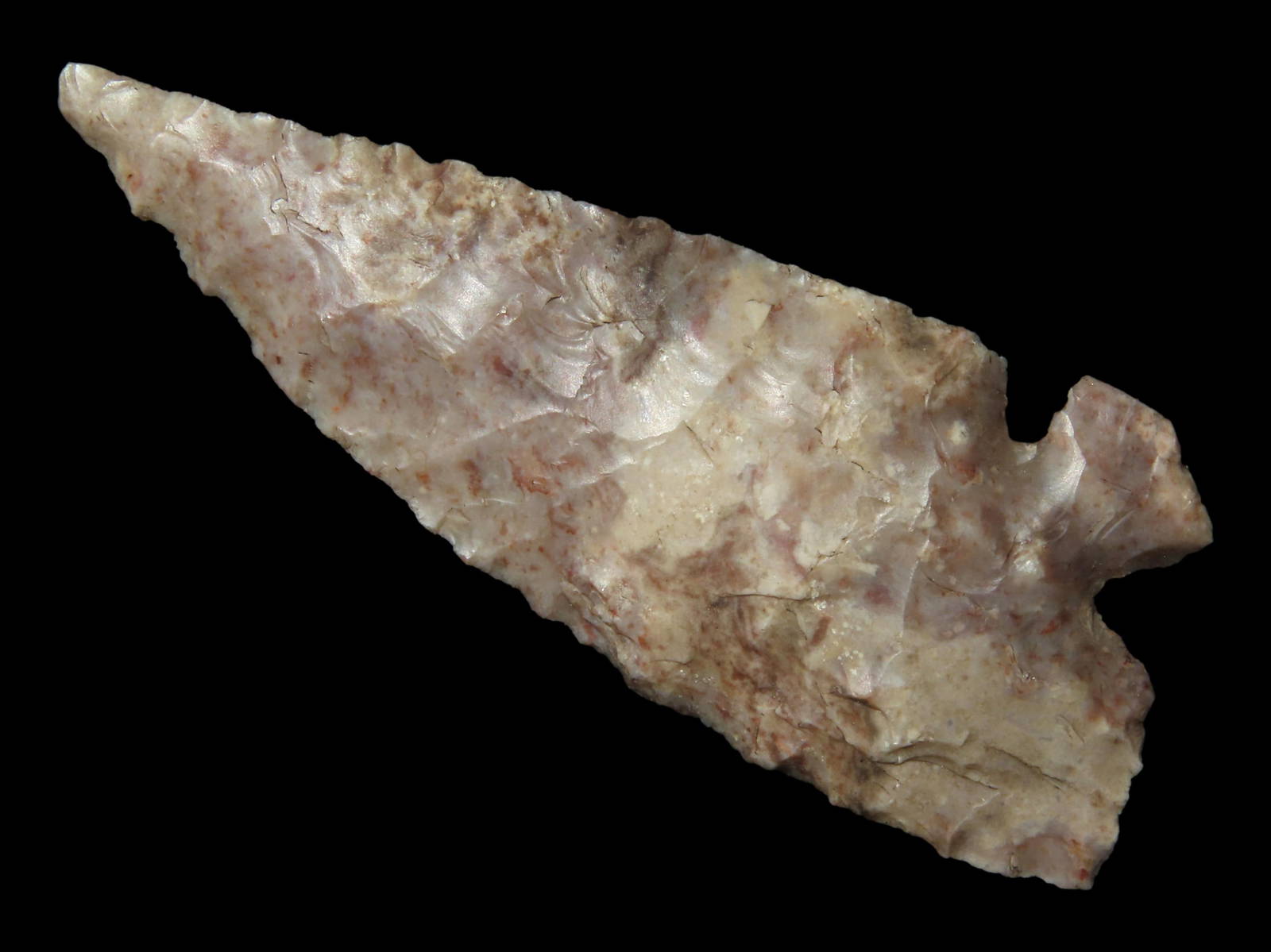 3 1/4" Corner Tang Knife From Weld Co. Colorado, Colorful Alibates ...