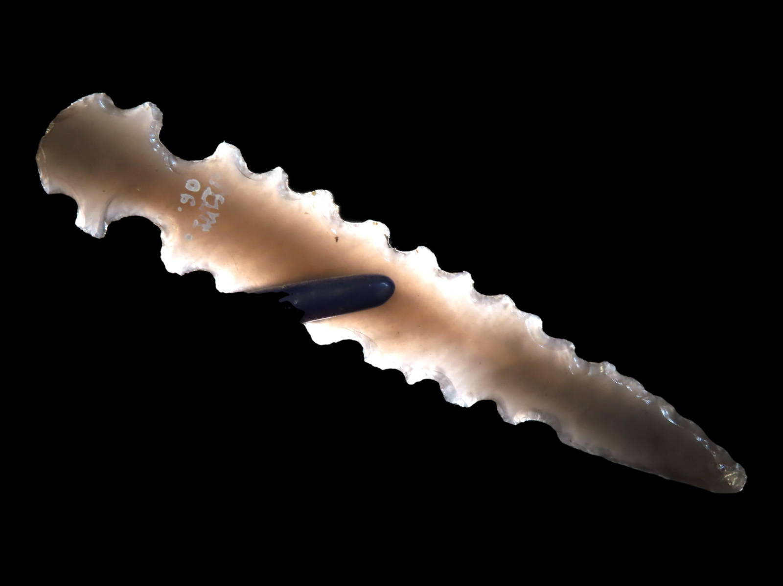 Outstanding Mayan Flint Eccentric, Obsidian, Highly Translucent Example ...