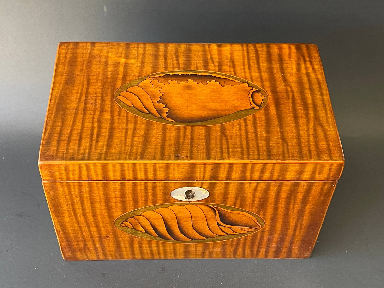 19th C Tiger Maple Conch Shell Inlaid Tea Caddy Auction