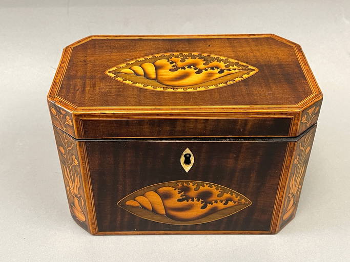 Canted Corner Conch Shell Inlaid Tea Caddy