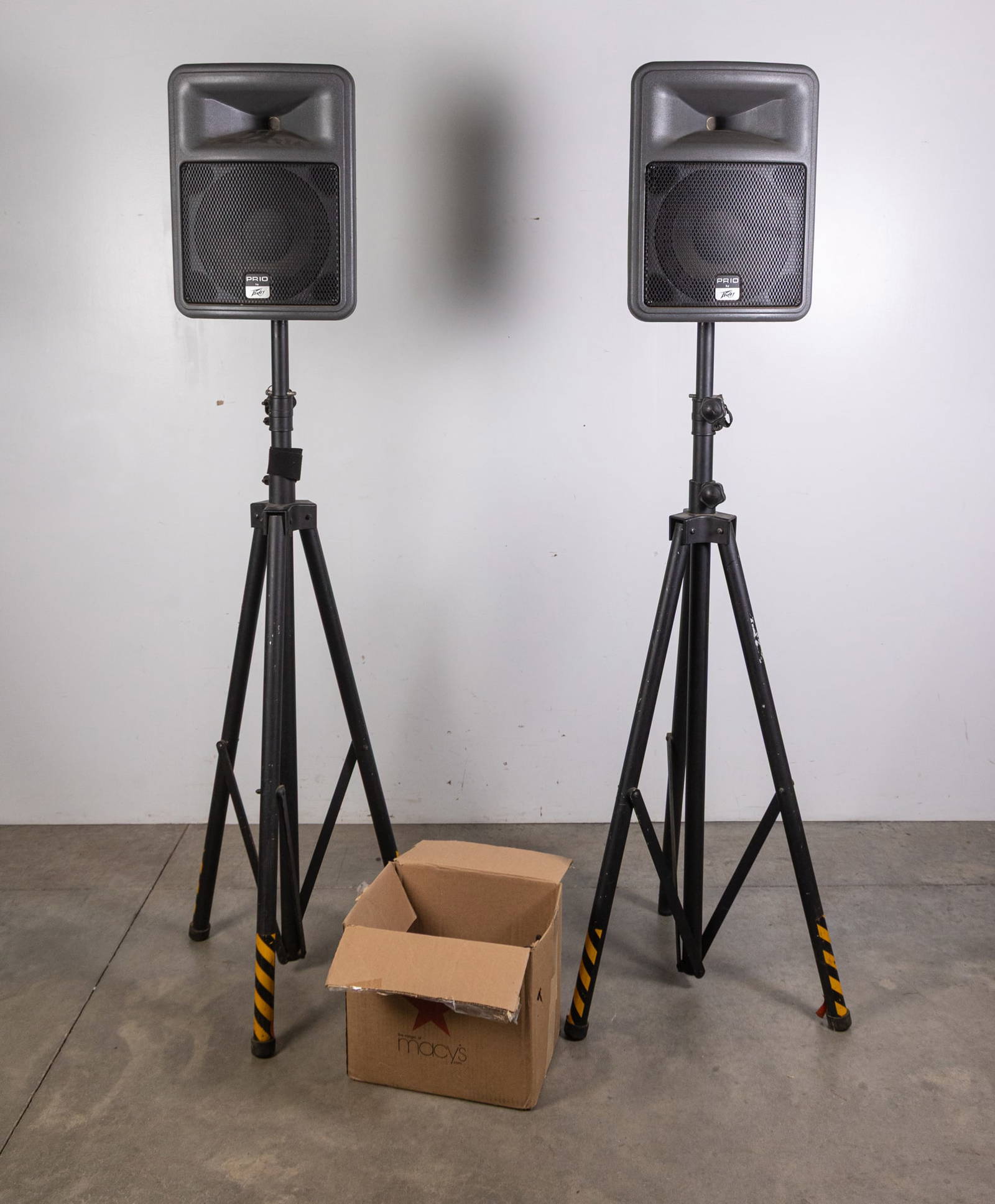 Pair Of Peavey Pr 10 Speakers With Stands Auction