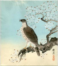 Keigetsu Kikuchi Falcon Japanese Woodblock Print - Aug 27, 2017 ...
