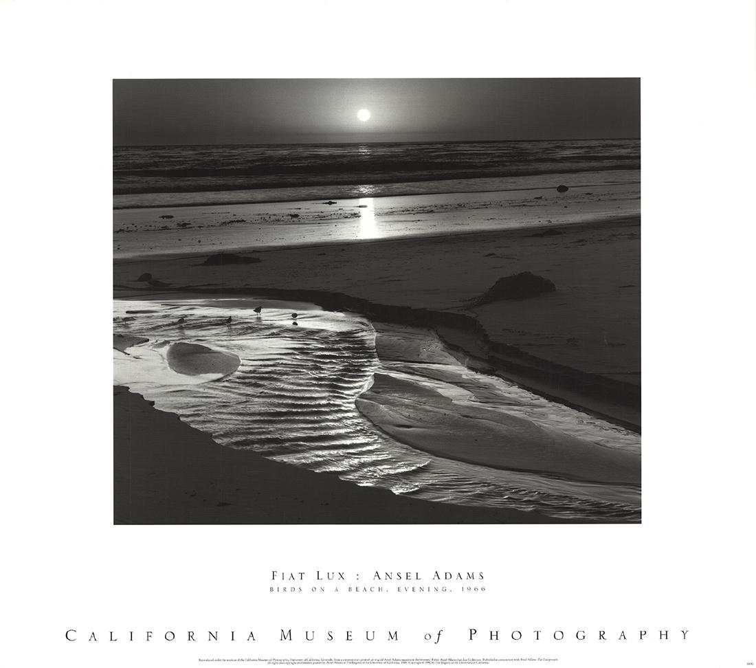 Ansel Adams Offset Lithograph Fiat Lux: Birds Beach