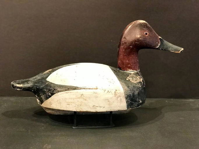 Canvasback Cape Cod Decoy, Early 20th Century