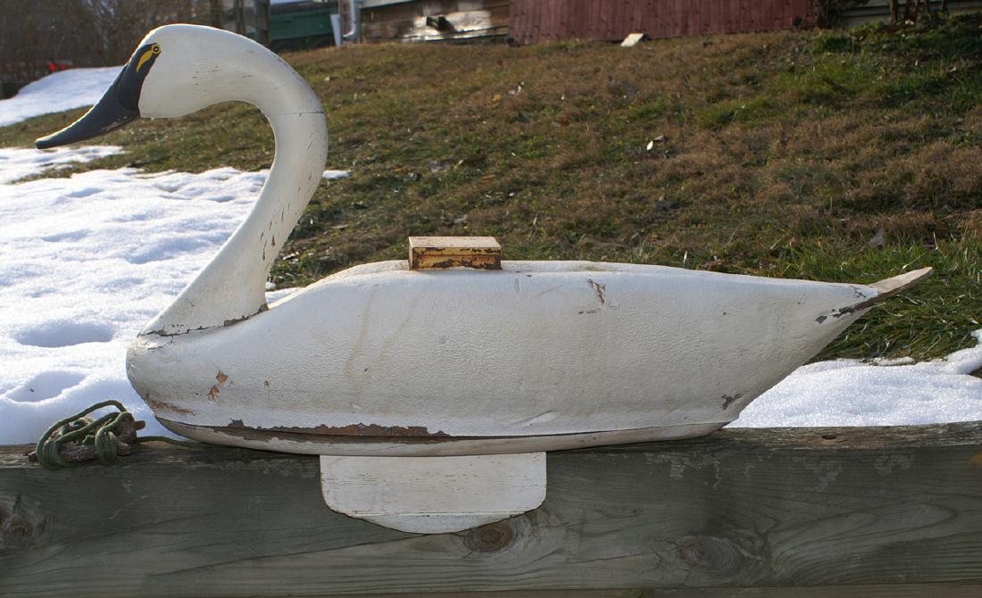 Working Swan Decoy