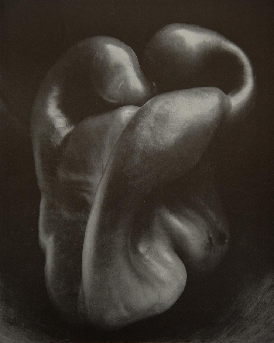 EDWARD WESTON - Pepper No. 30