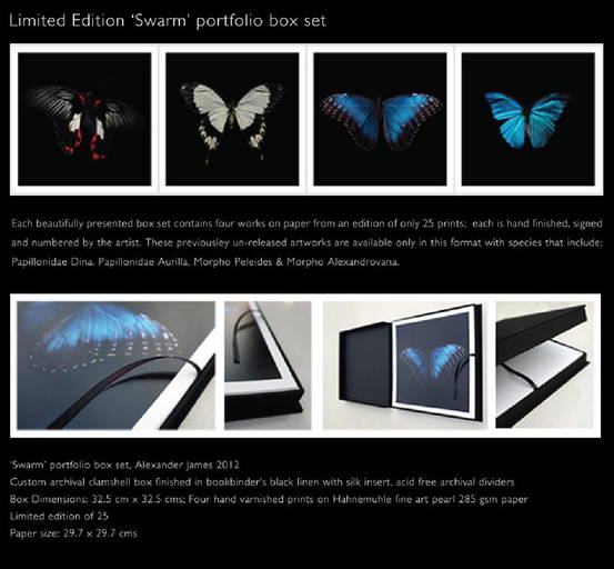Alexander James Hamilton Print Swarm In Flight' Box Set