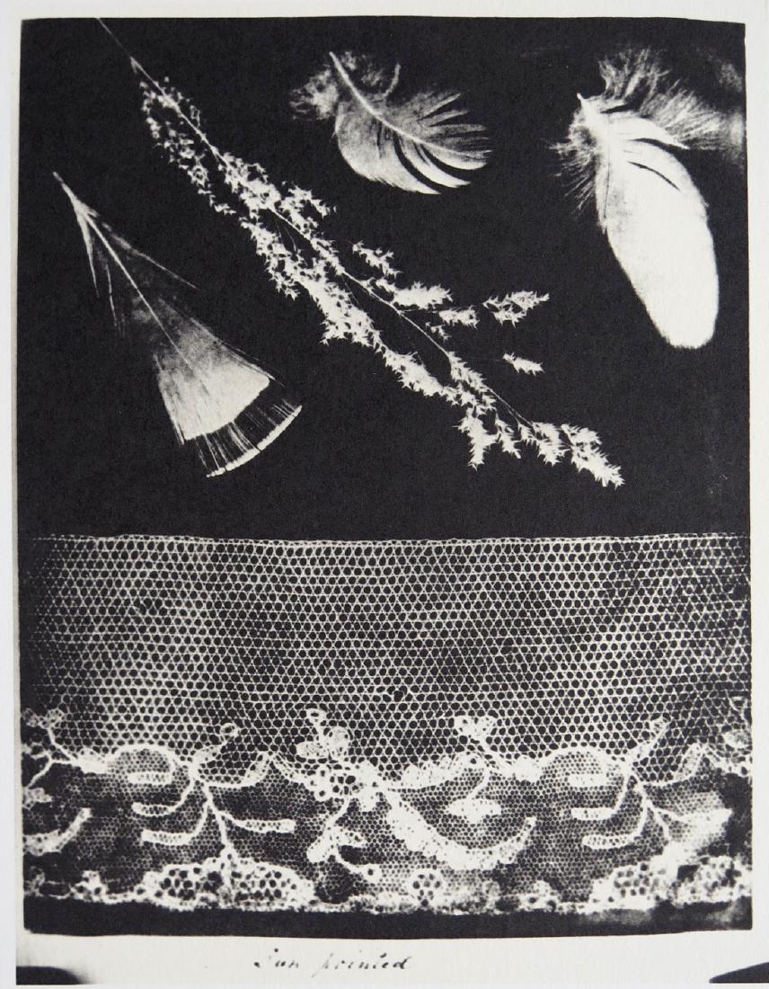 W.H. FOX TALBOT - Feathers & Lace 1839