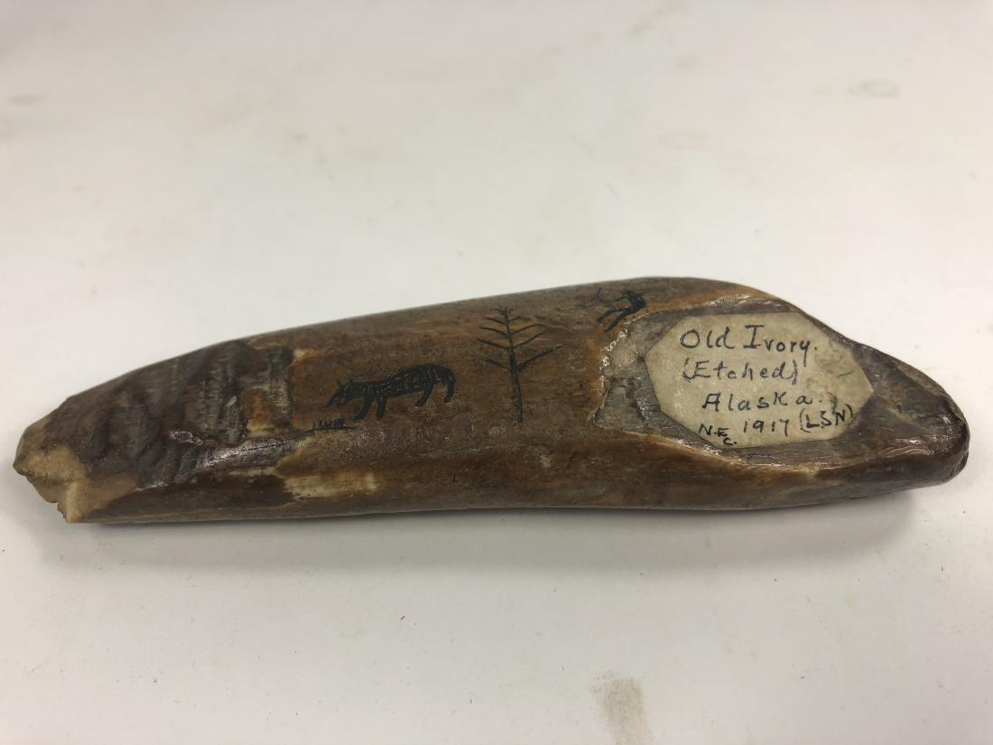 ANCIENT INUIT BONE TOOL