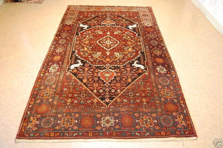 Animal Subjects Persian Bijar Rug 5x8.6